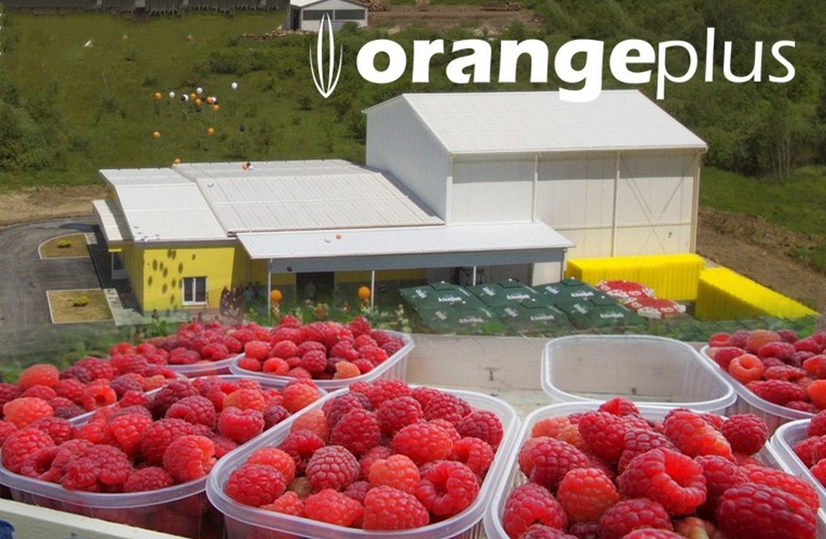 ORANGE PLUS i otkup maline: S nama do uspješne sezone 2025! – Zenicablog